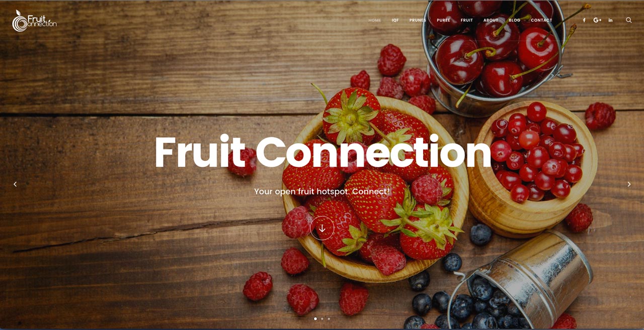 Fruit Connection | Dried and Frozen Fruit | Get Fruit Connected